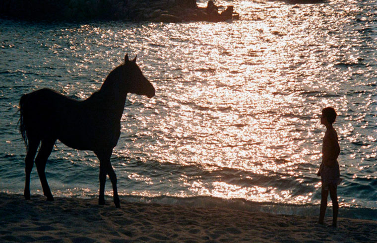 El Corcel Negro (1979) - Película Online