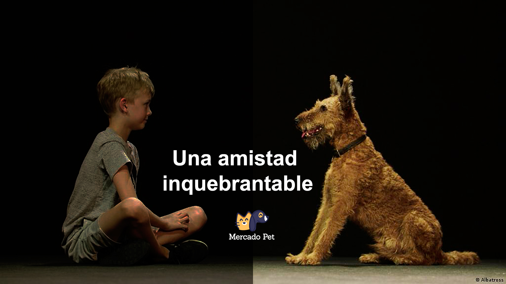 Perros y humanos - Los secretos de una amistad inquebrantable ...