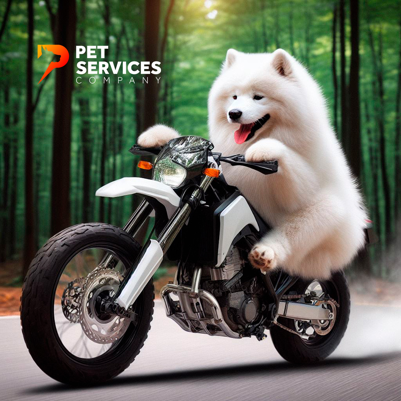 Orígenes (2014) - Película Online