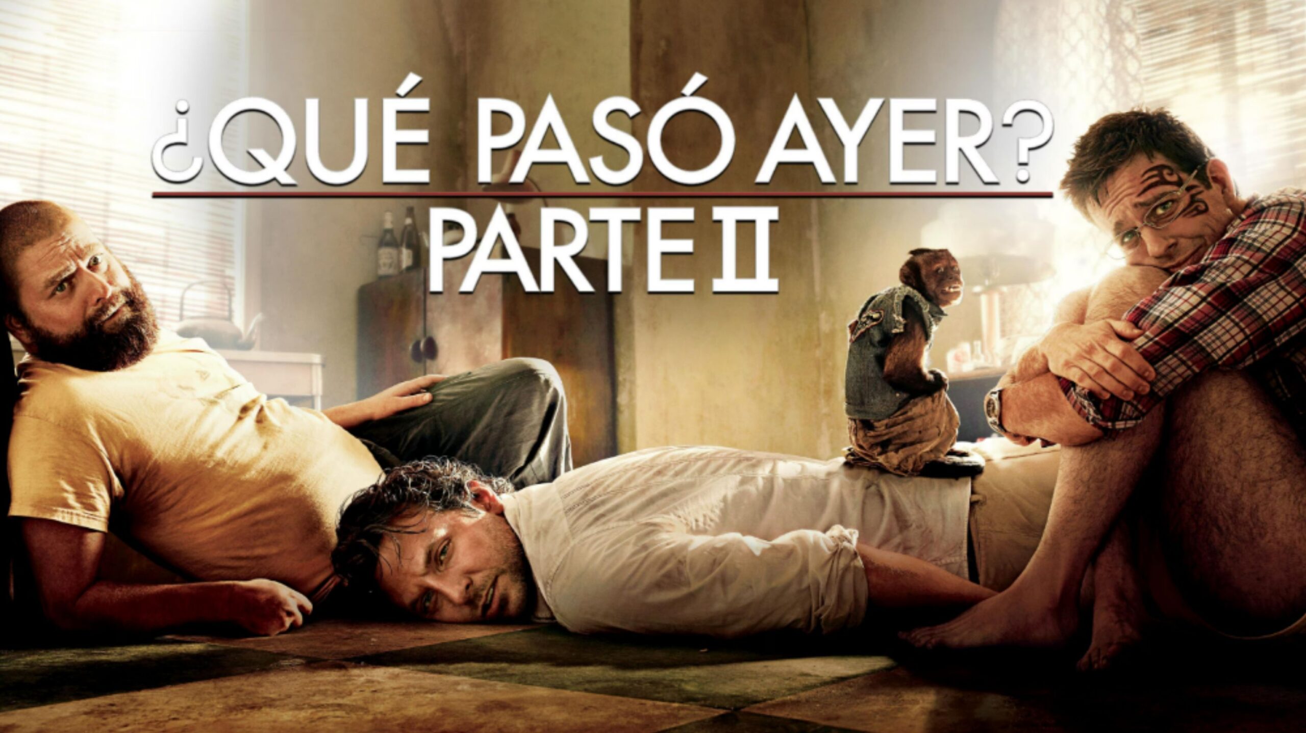 ¿Qué pasó ayer? Parte 2 - 2011